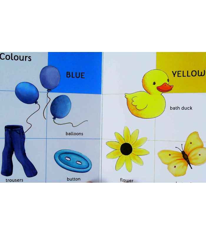 My Picture Dictionary | Irene Mohr | 9783849906269