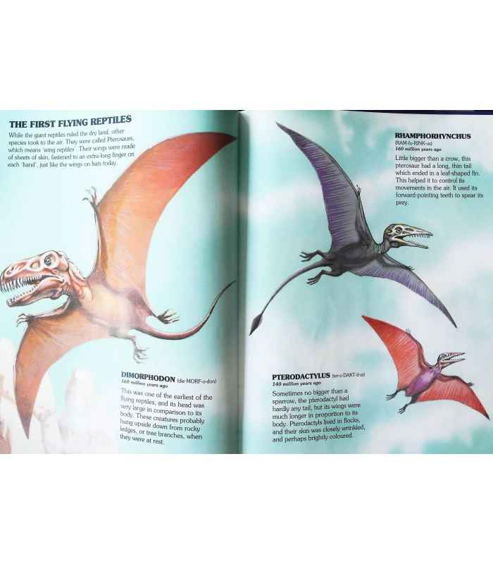 First Book Of Dinosaurs Other Prehistoric Animals | Colin Clark ...