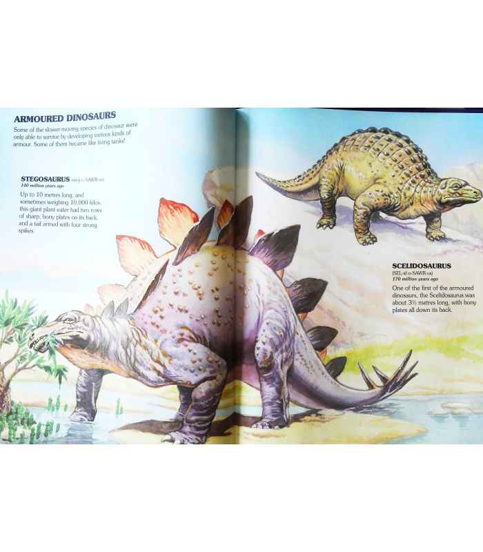 First Book Of Dinosaurs Other Prehistoric Animals | Colin Clark ...
